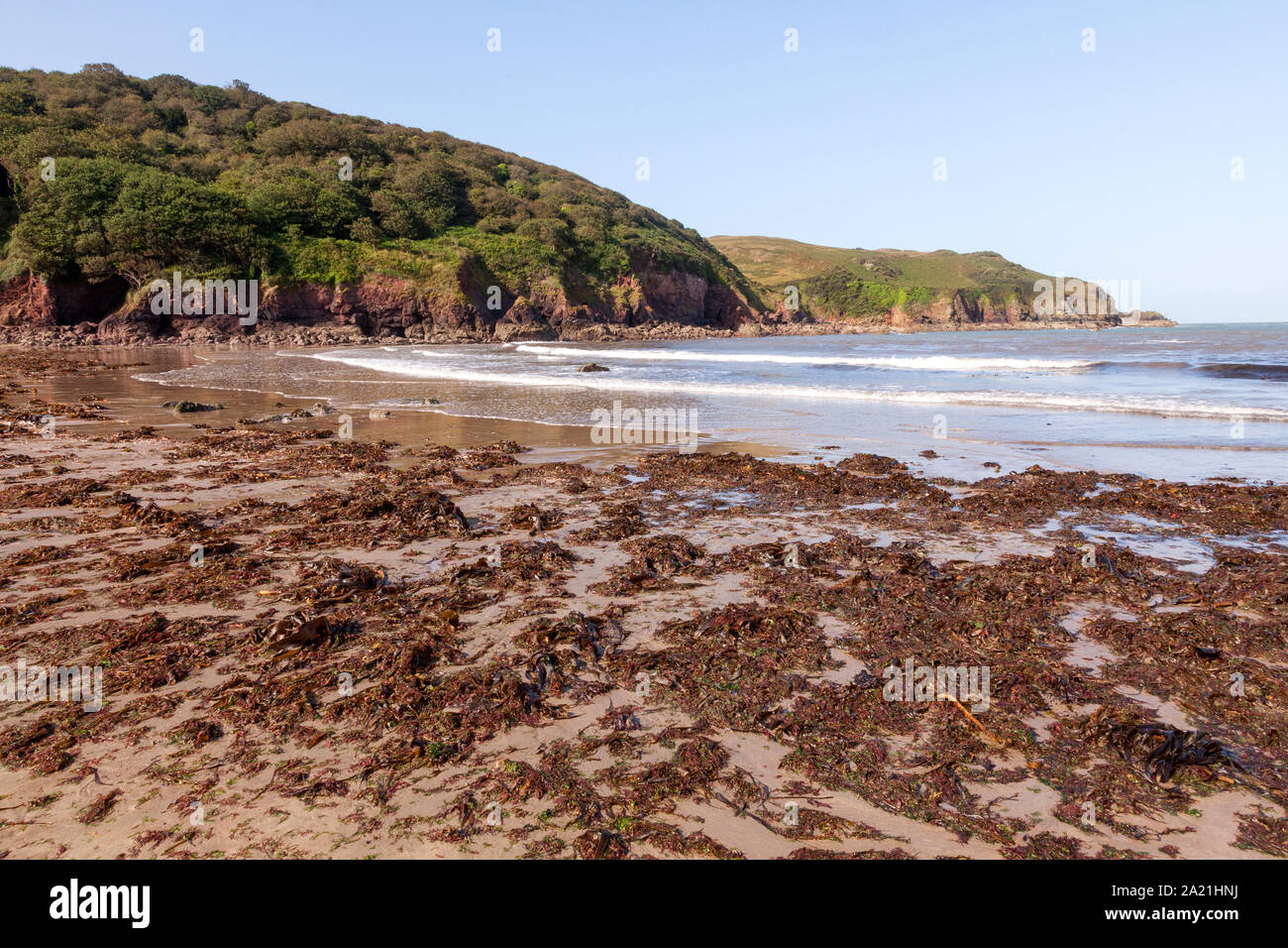 Hope Cove, Kingsbridge, Devon, England, United Kingdom Stock Photo - Alamy