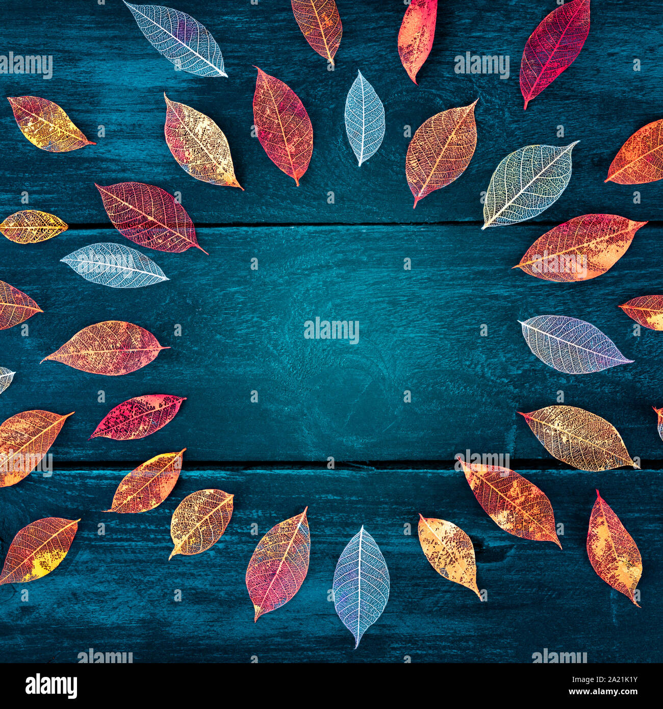 Autumn background with vibrant fall leaves, a square design template ...