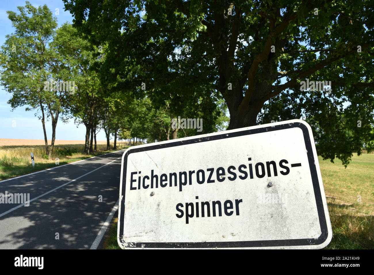 Oak processionary moth warning sign hi-res stock photography and images ...