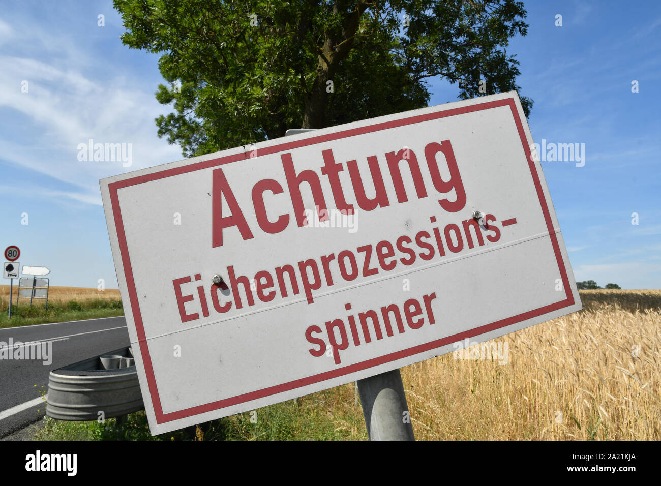 Oak processionary moth warning sign hi-res stock photography and images ...