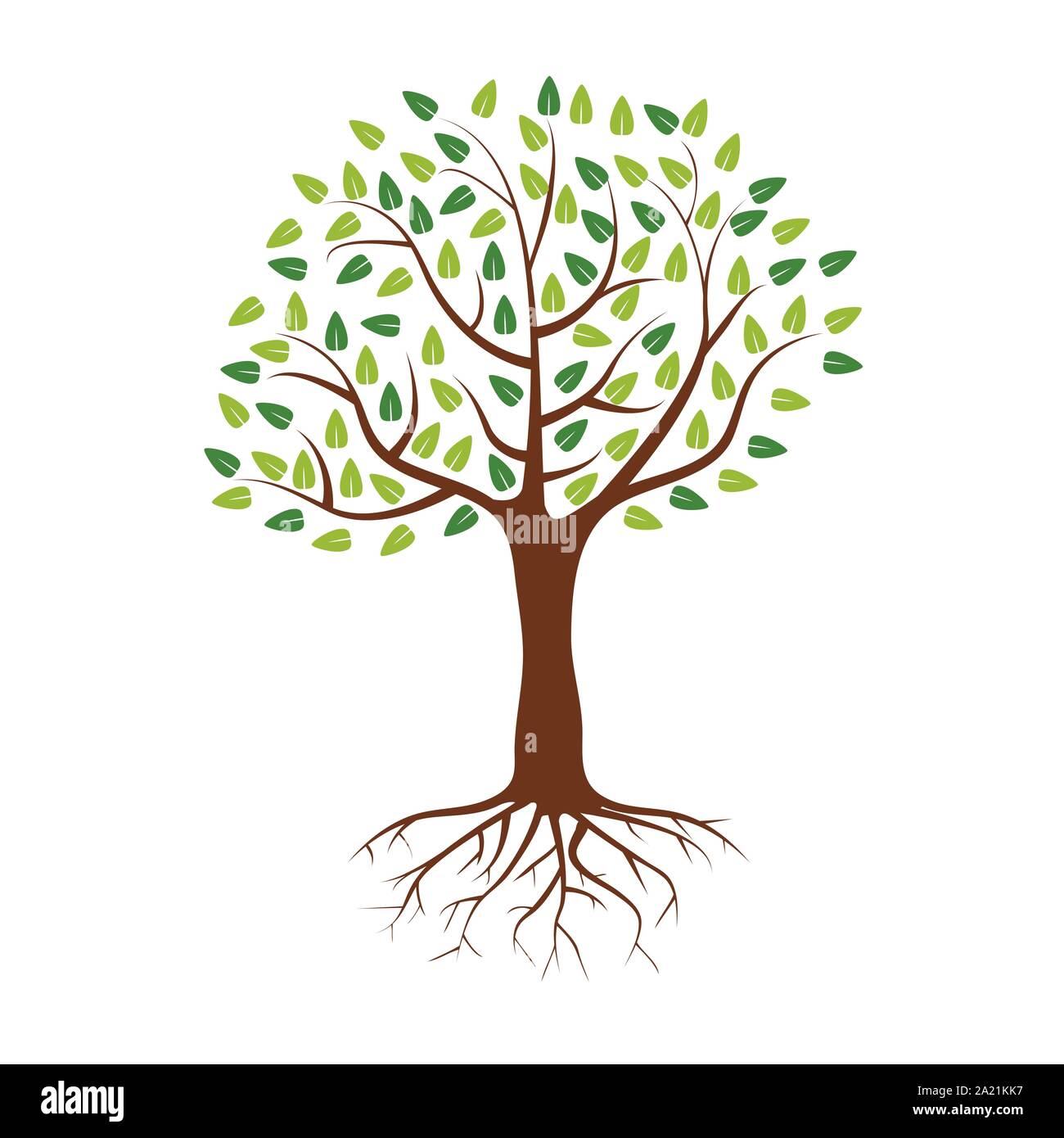 Plain Tree with green leaves and roots with flat and solid colors for ...