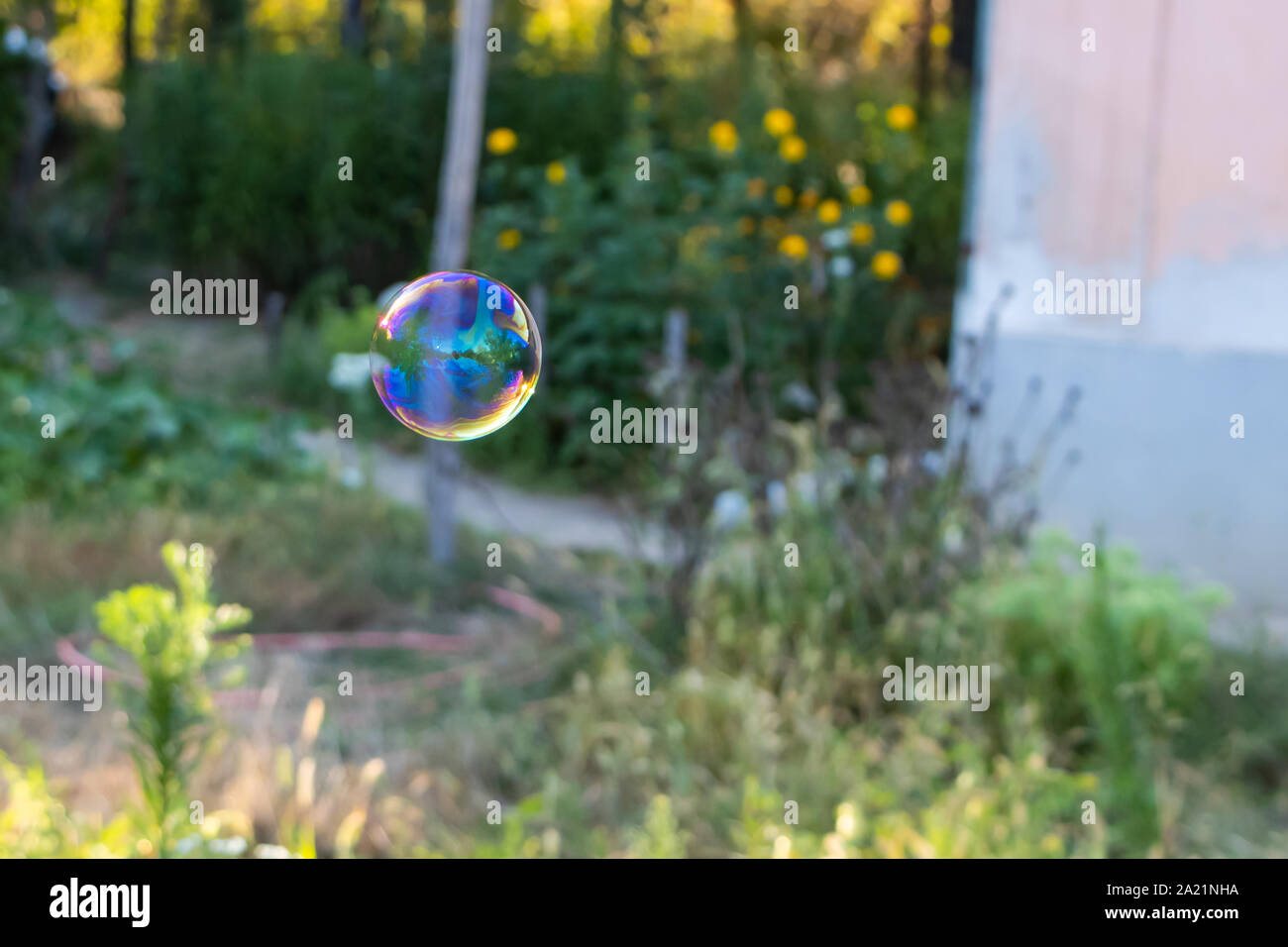 Soap balloons floating in the air Stock Photo - Alamy