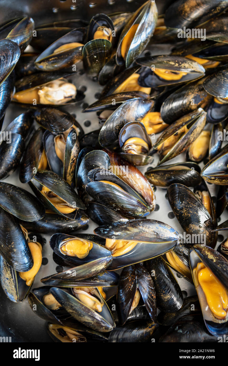 Moule High Resolution Stock Photography and Images - Alamy