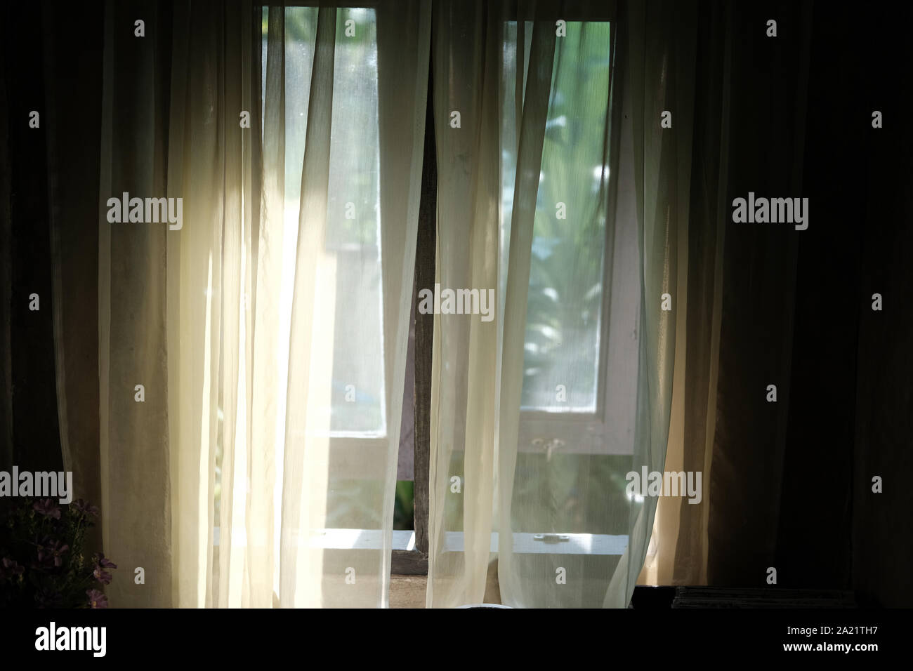 light on yellow see through sheer window curtain at home. transparent ...