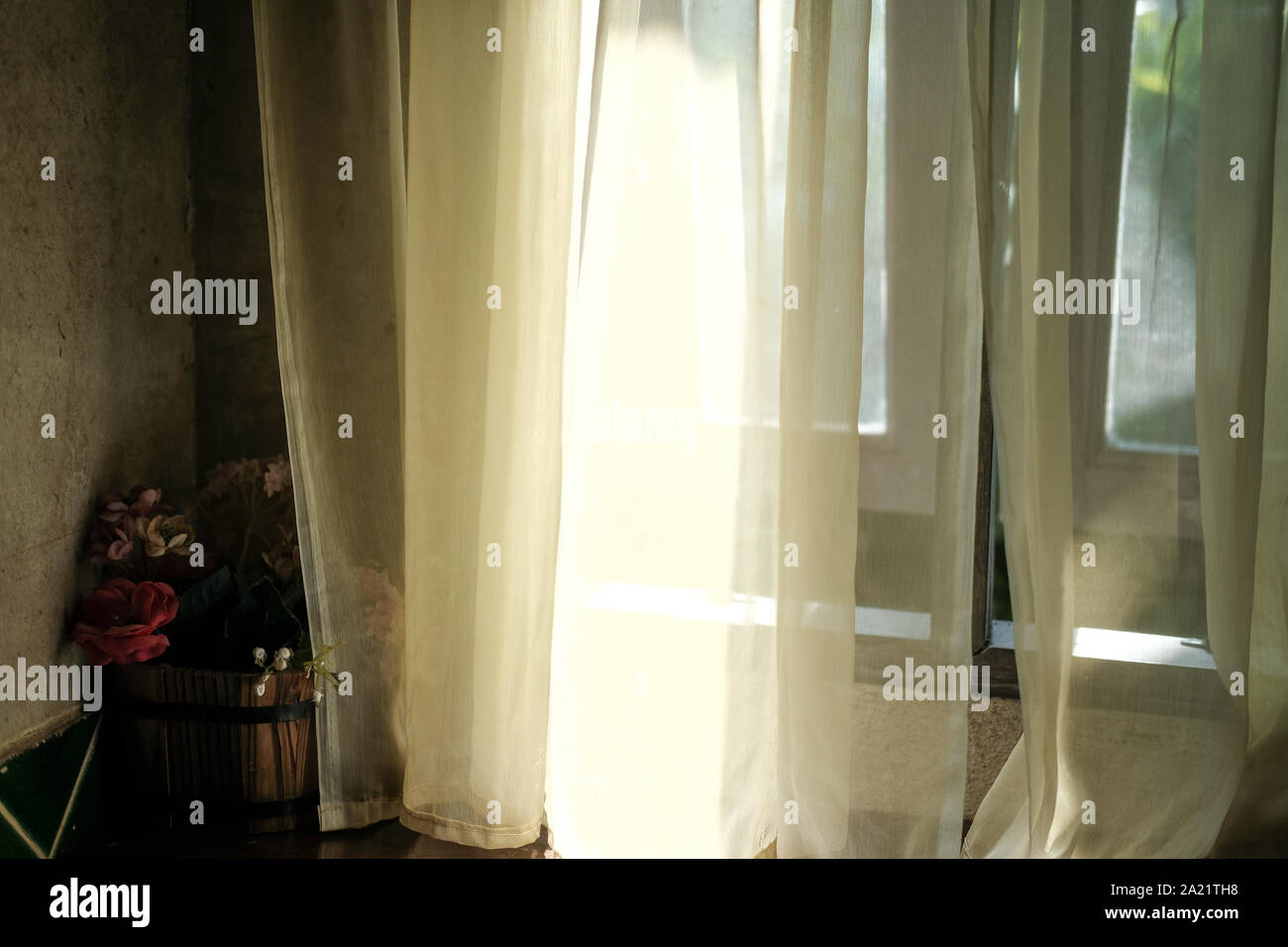 light on yellow see through sheer window curtain at home. transparent ...