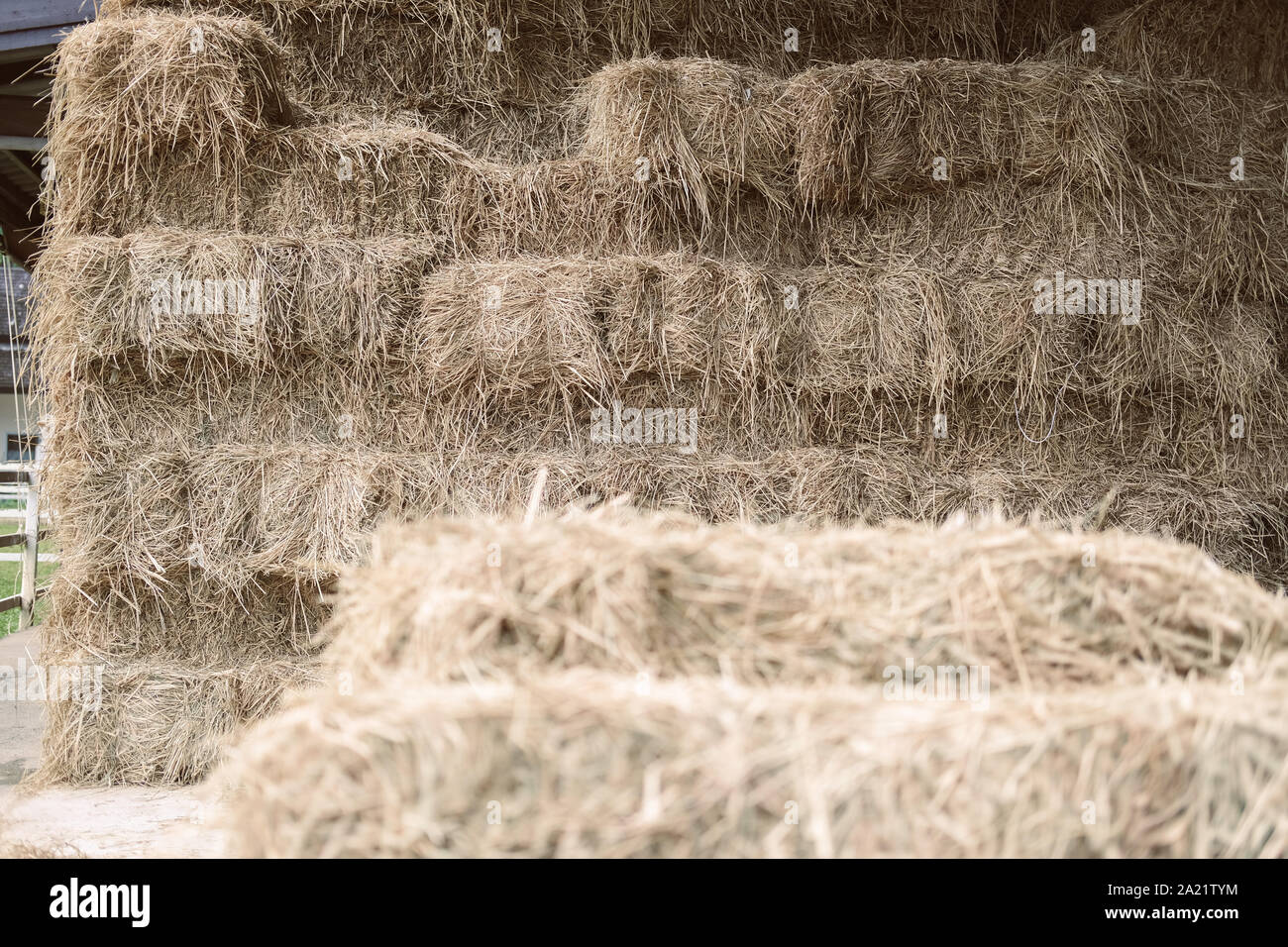 Rice straw pile hi-res stock photography and images - Alamy