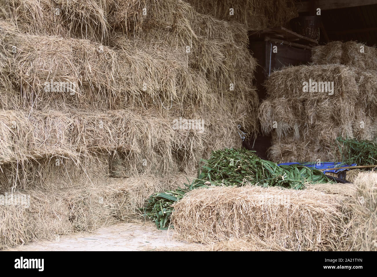 Rice hay stack hi-res stock photography and images - Alamy