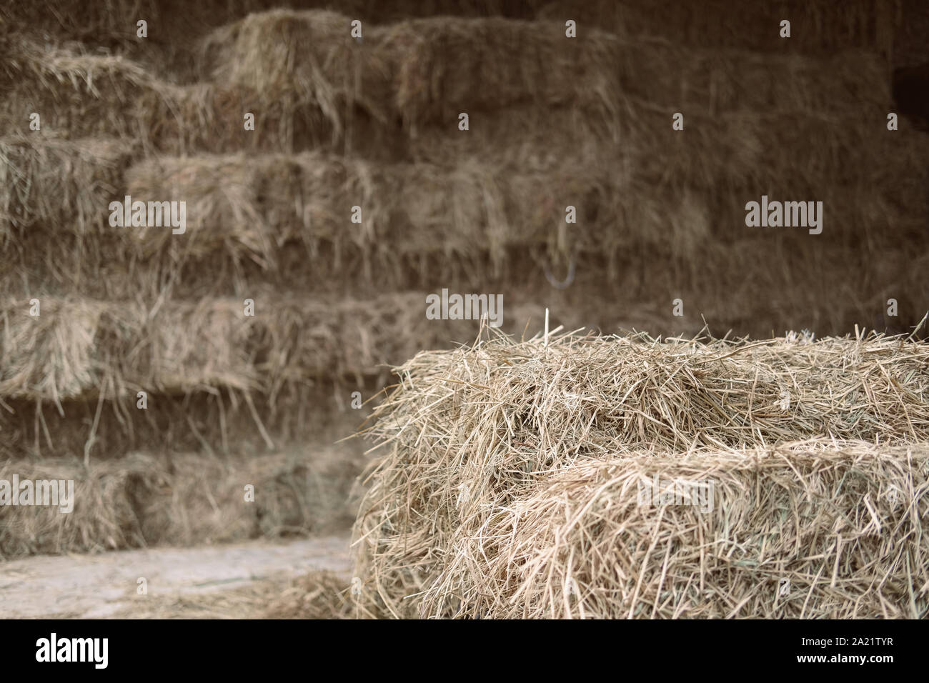 pile heap of rice straw hay in farm Stock Photo - Alamy
