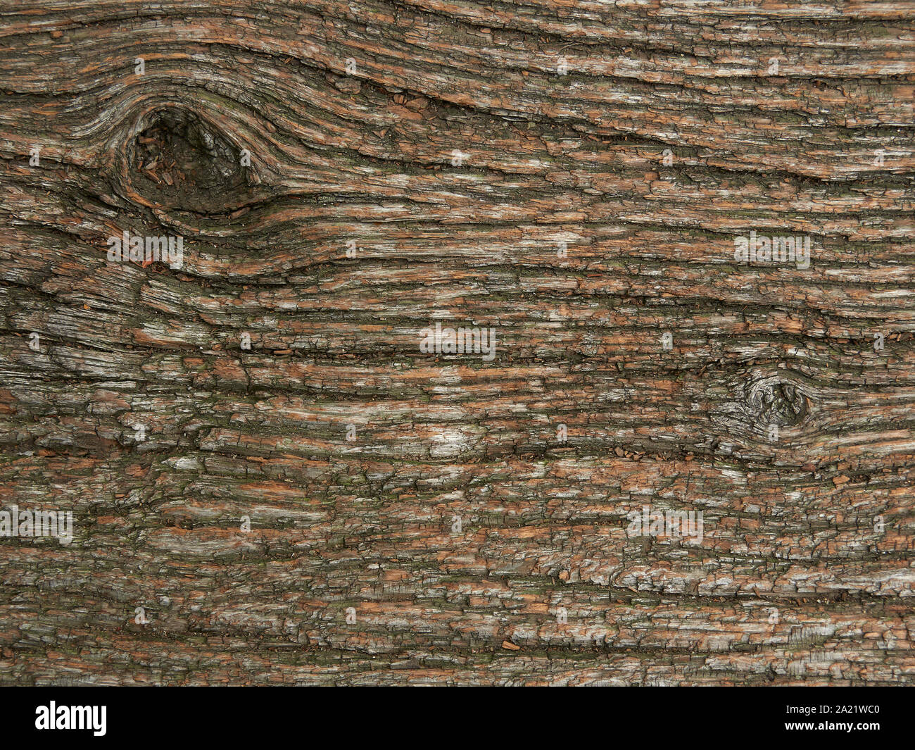Weather worn wood bark. Horizontal photo of a tree bark texture Stock ...