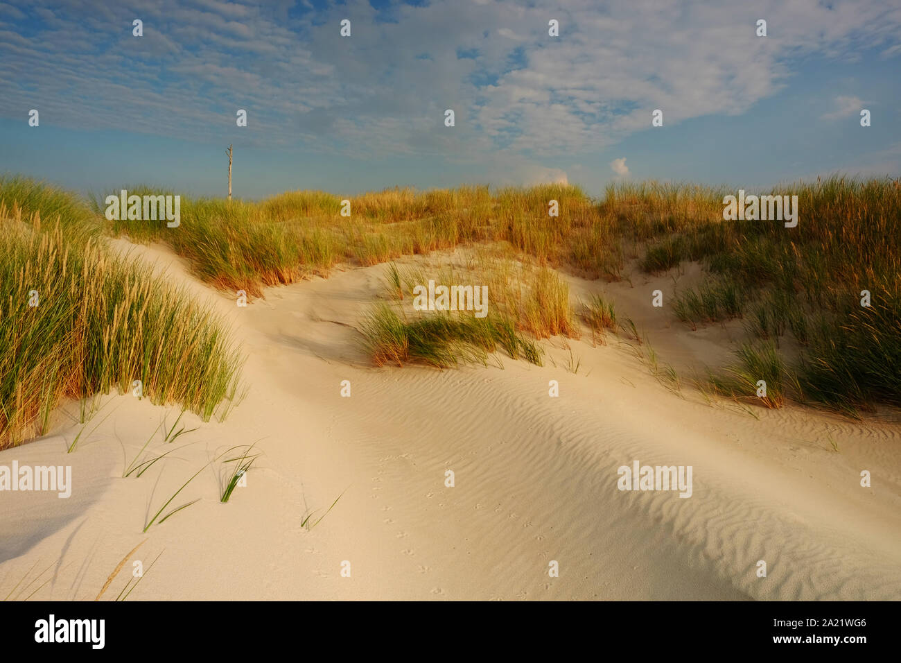 Slowinski National Park, moving dunes, Leba, Poland Stock Photo - Alamy