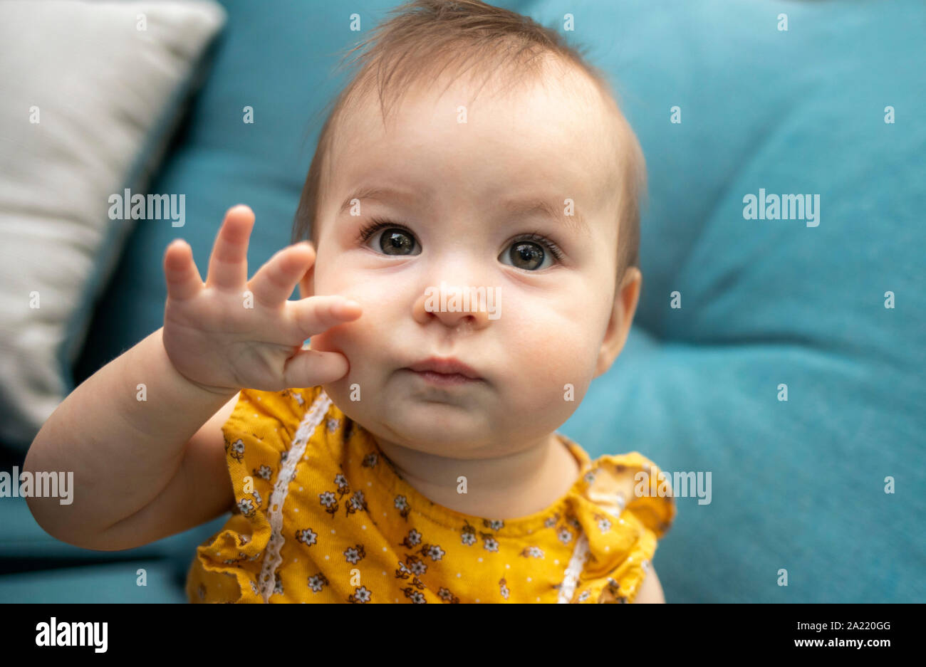 Cutie hi-res stock photography and images - Alamy