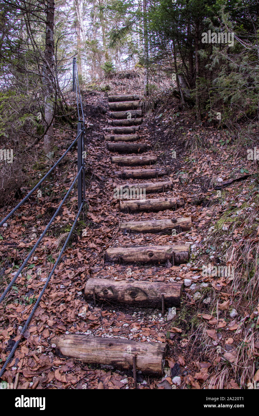 Simple wood stairs in cover with leaves Stock Photo - Alamy
