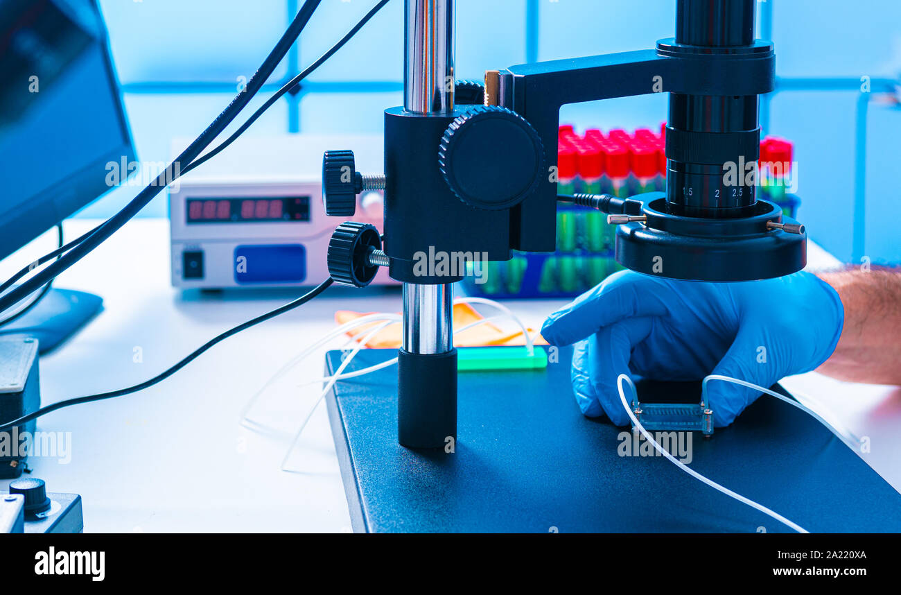 Design development Lab On Chip device in microfluidic lab Stock Photo ...