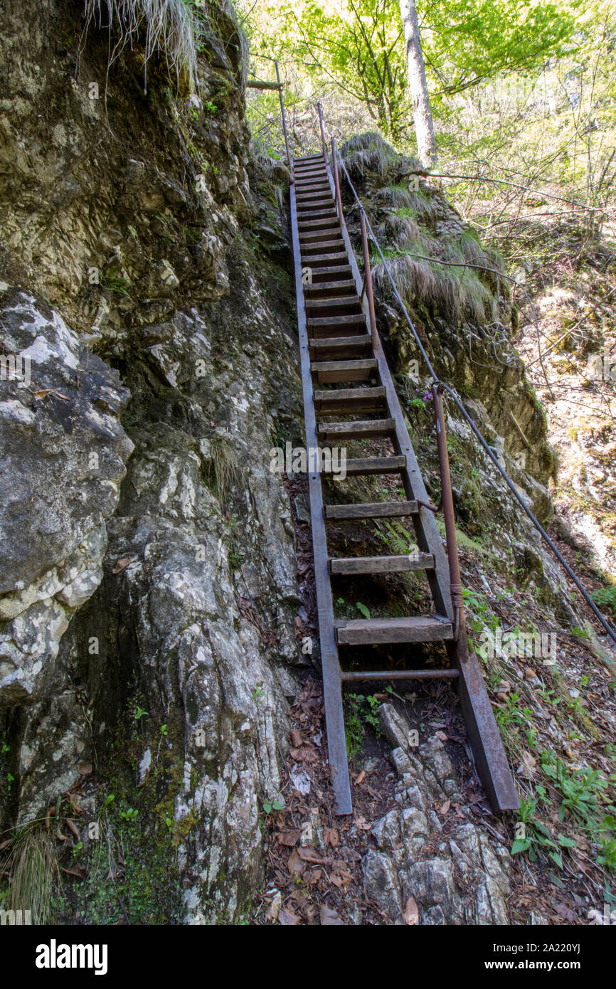 Steep stairs throw canyon Stock Photo - Alamy