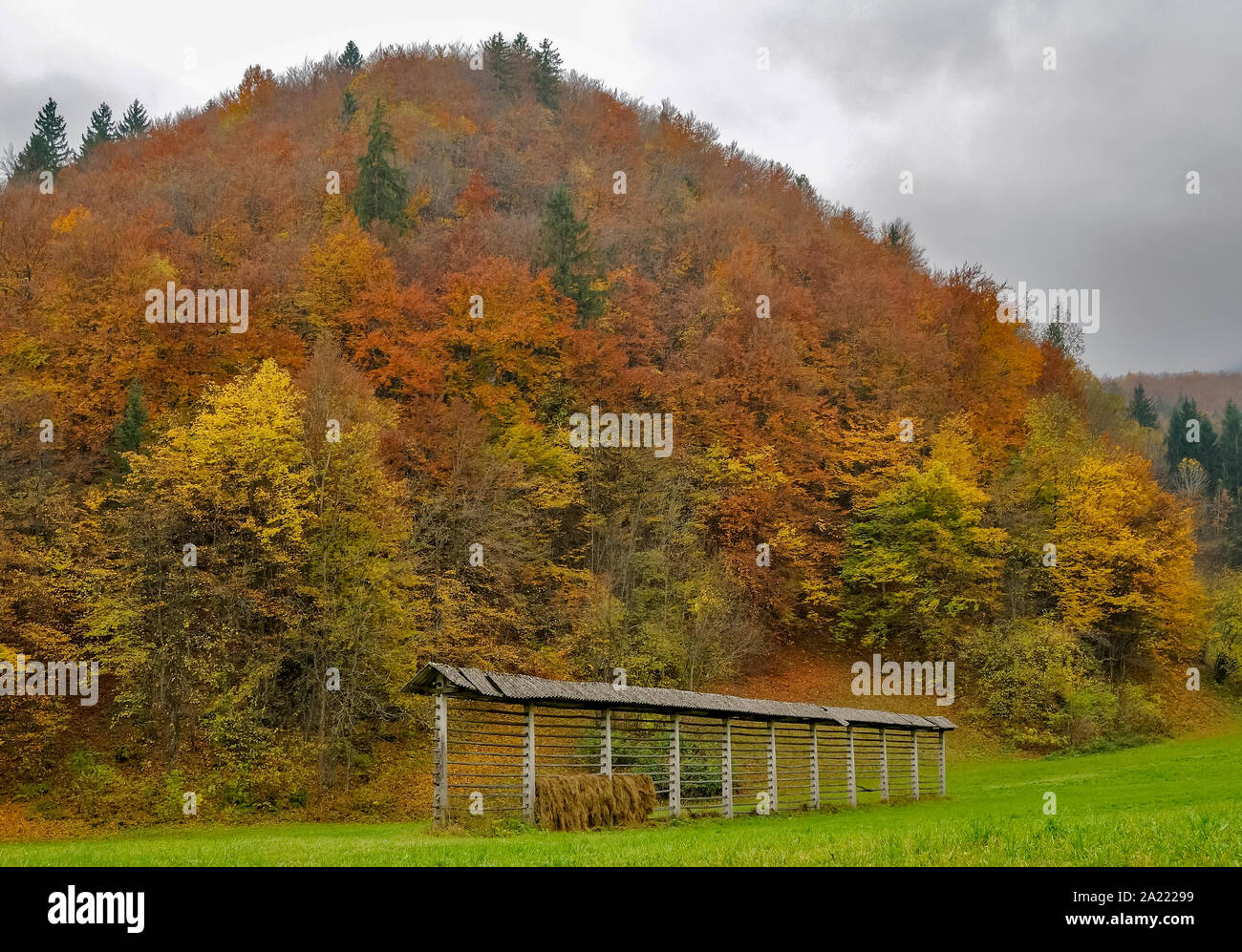 A traditional Slovenian drying frame hay rack called a kozolec in the ...