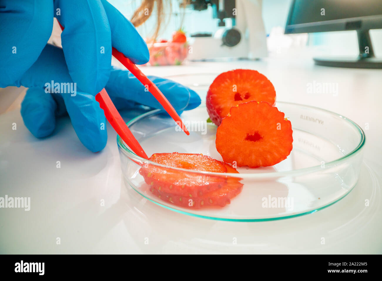 Young woman in food quality control lab Stock Photo - Alamy