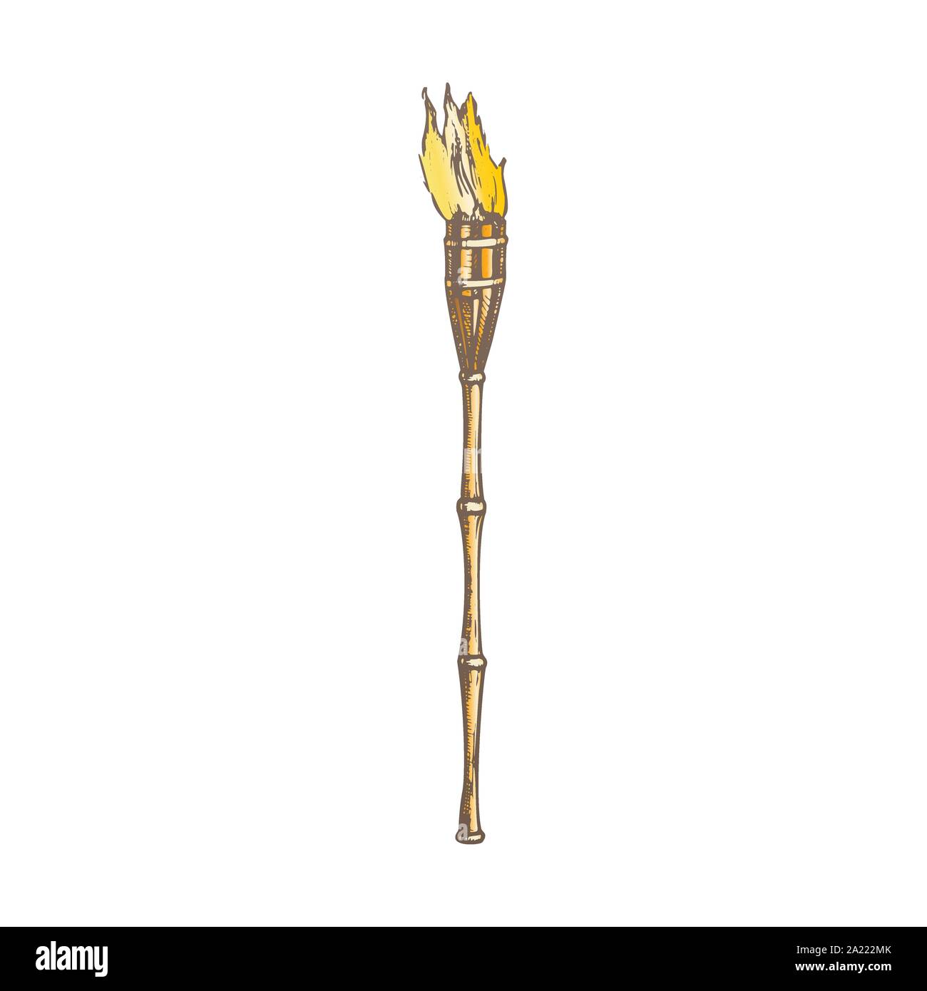Torch Burning Bamboo Beach Lamp Color Vector Stock Vector Image & Art ...