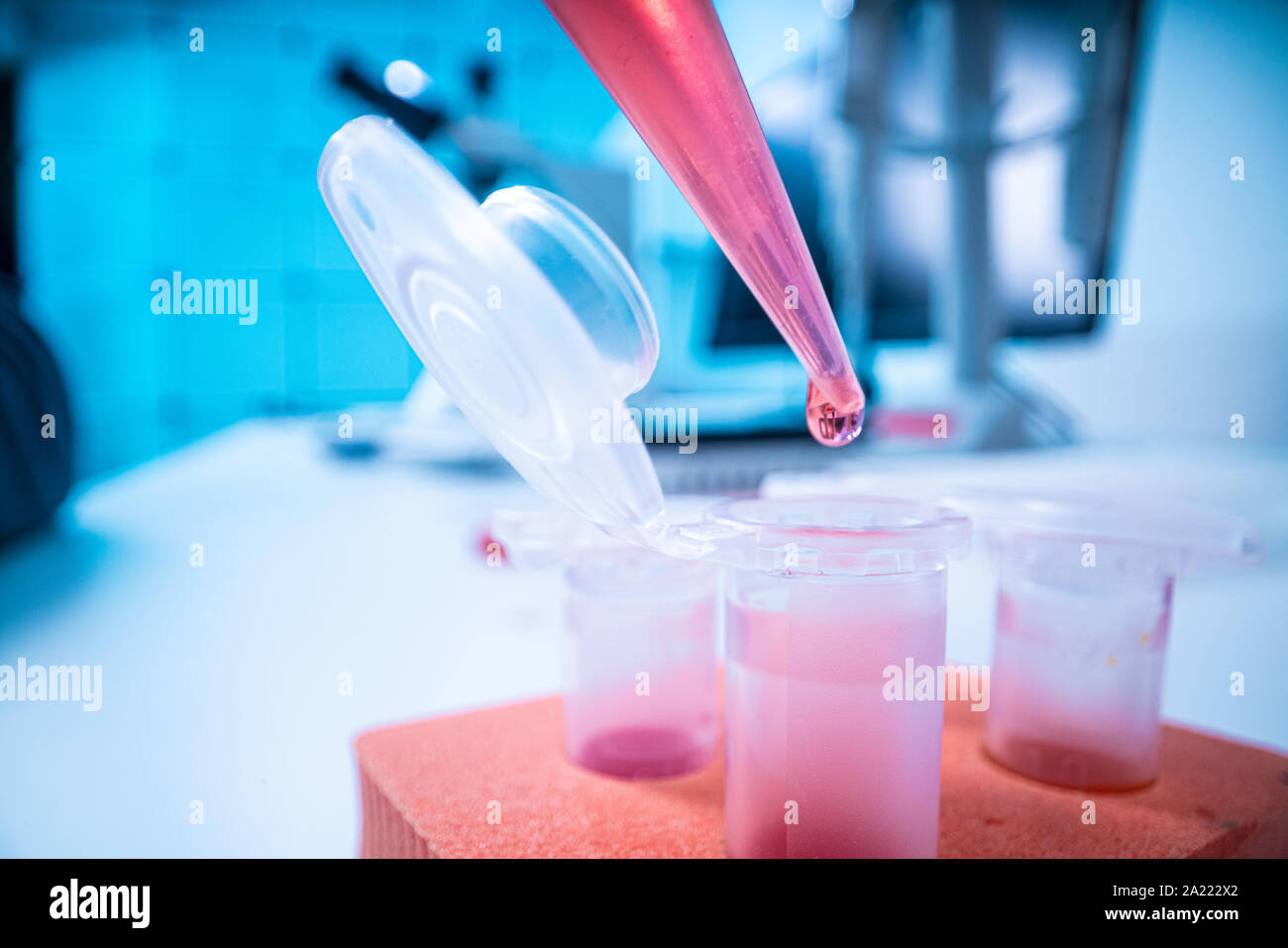 sample of biological sample for DNA analysis Stock Photo - Alamy