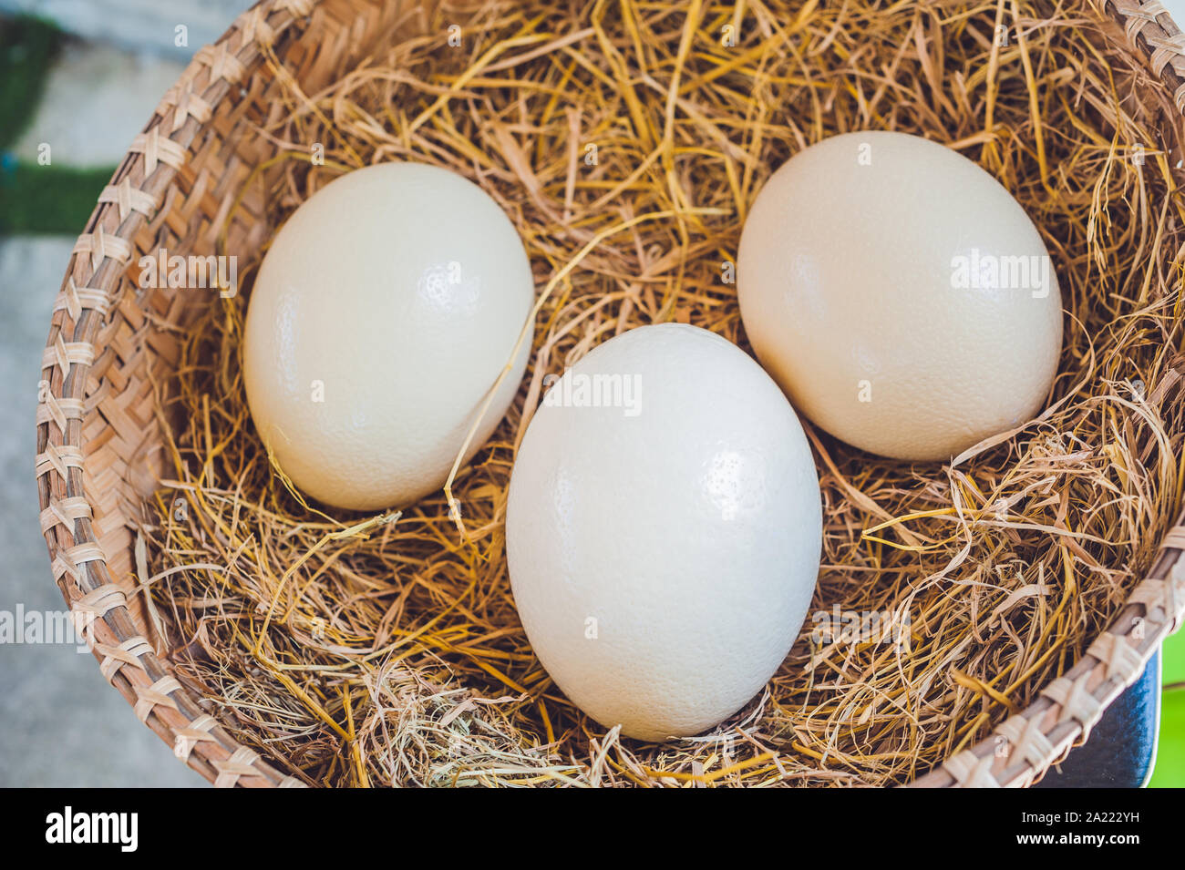 Ostrich eggs in a basket. Easter concept Stock Photo - Alamy