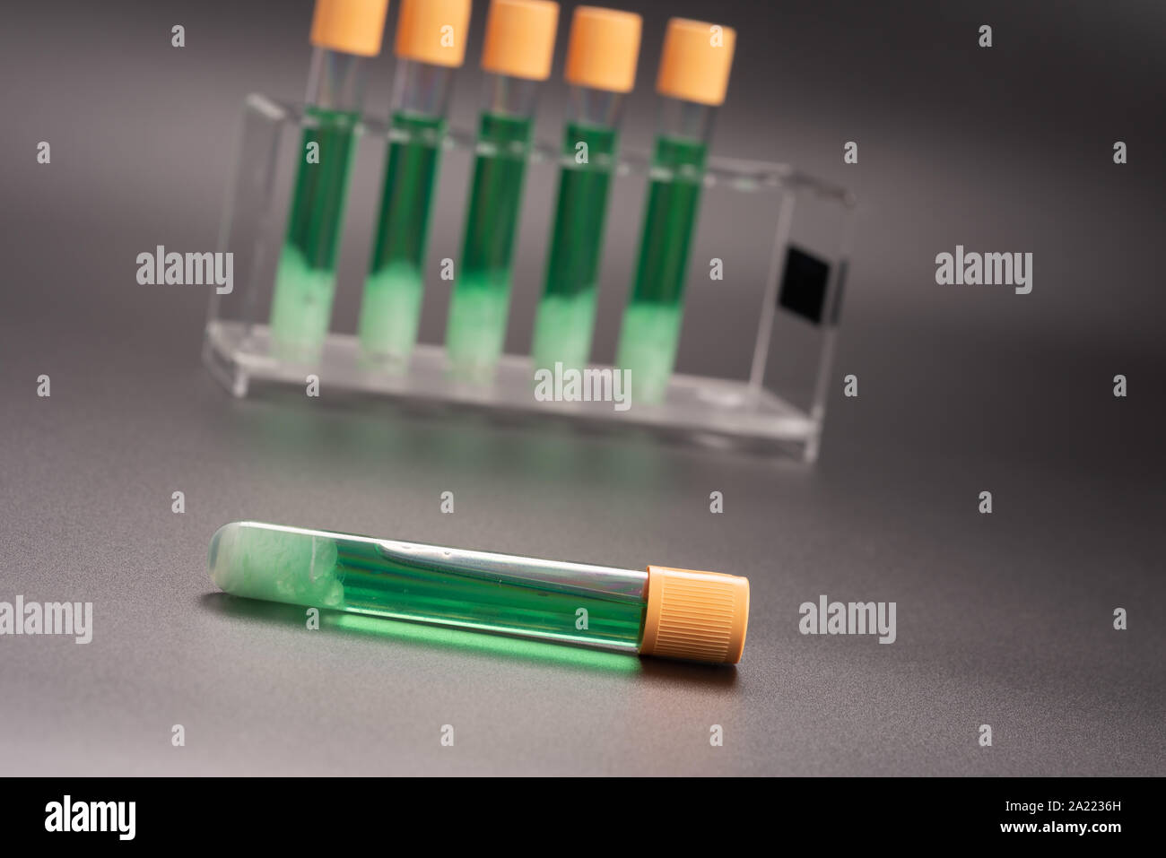Test tubes with chemical samples in science laboratory Stock Photo - Alamy