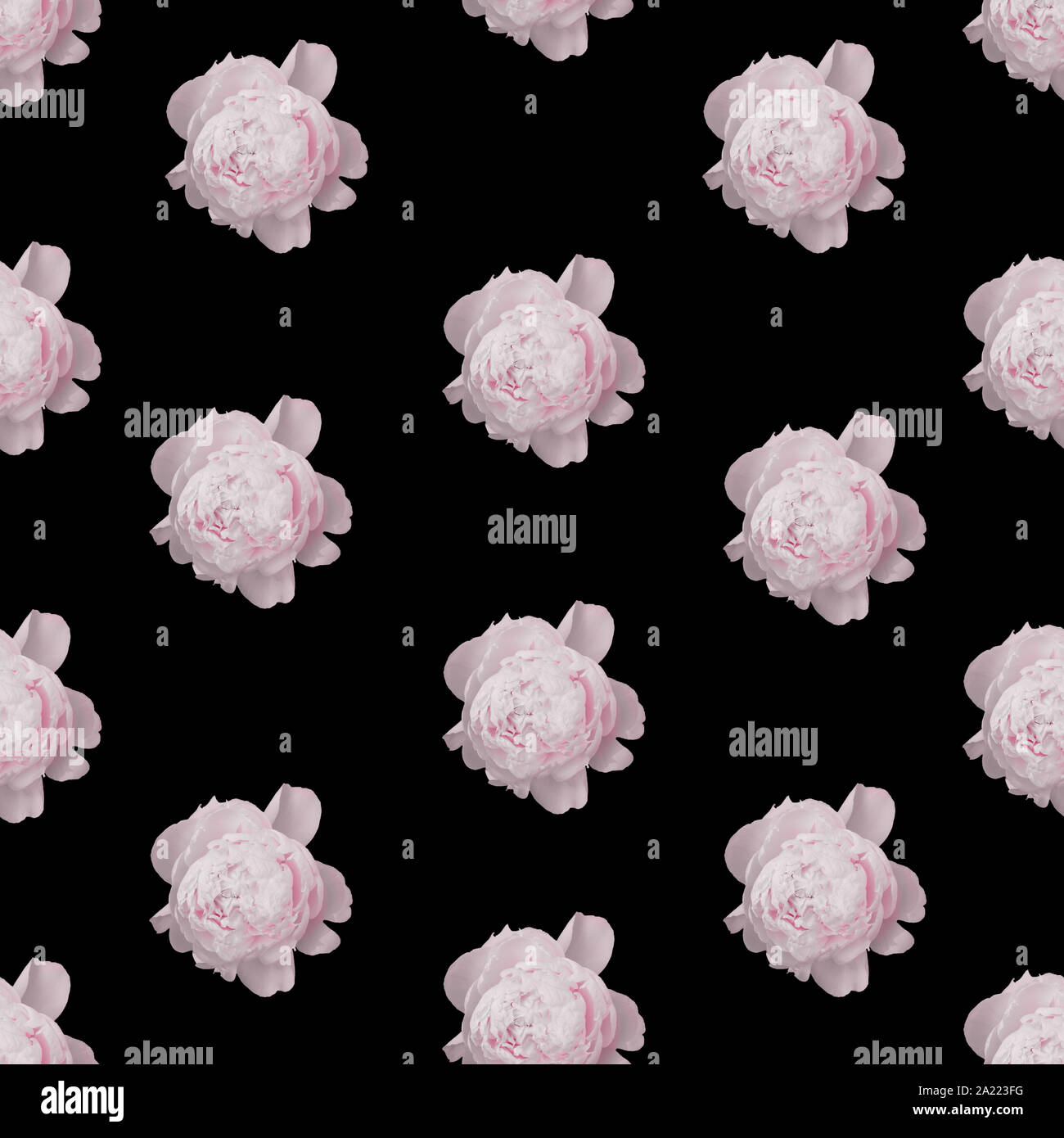 Seamless wallpaper pink roses hi-res stock photography and images - Alamy