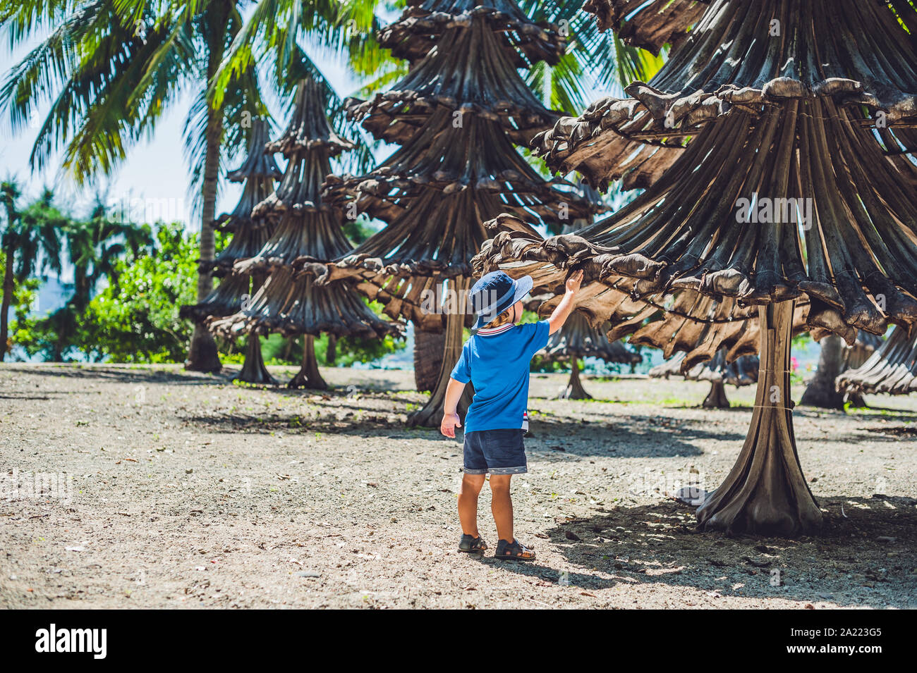 Christmas trees made from recycled materials from old palm branches ...