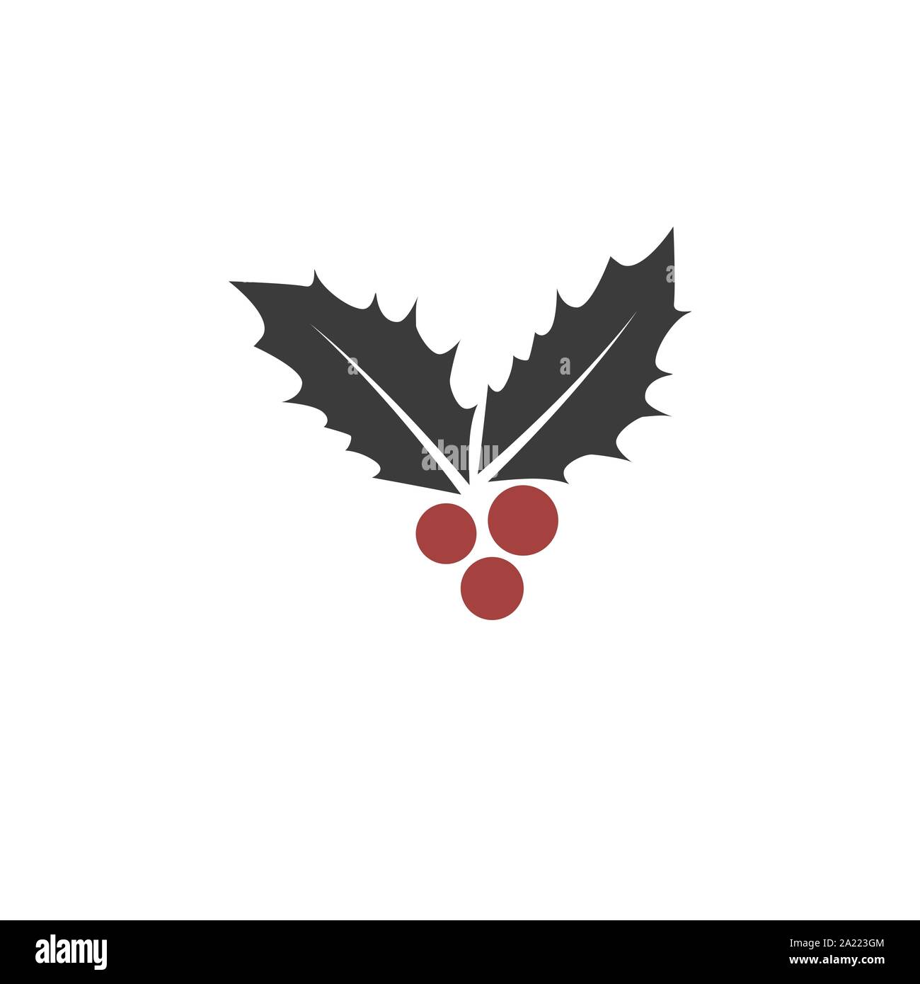 Winterberry Vector Vectors High Resolution Stock Photography and Images ...