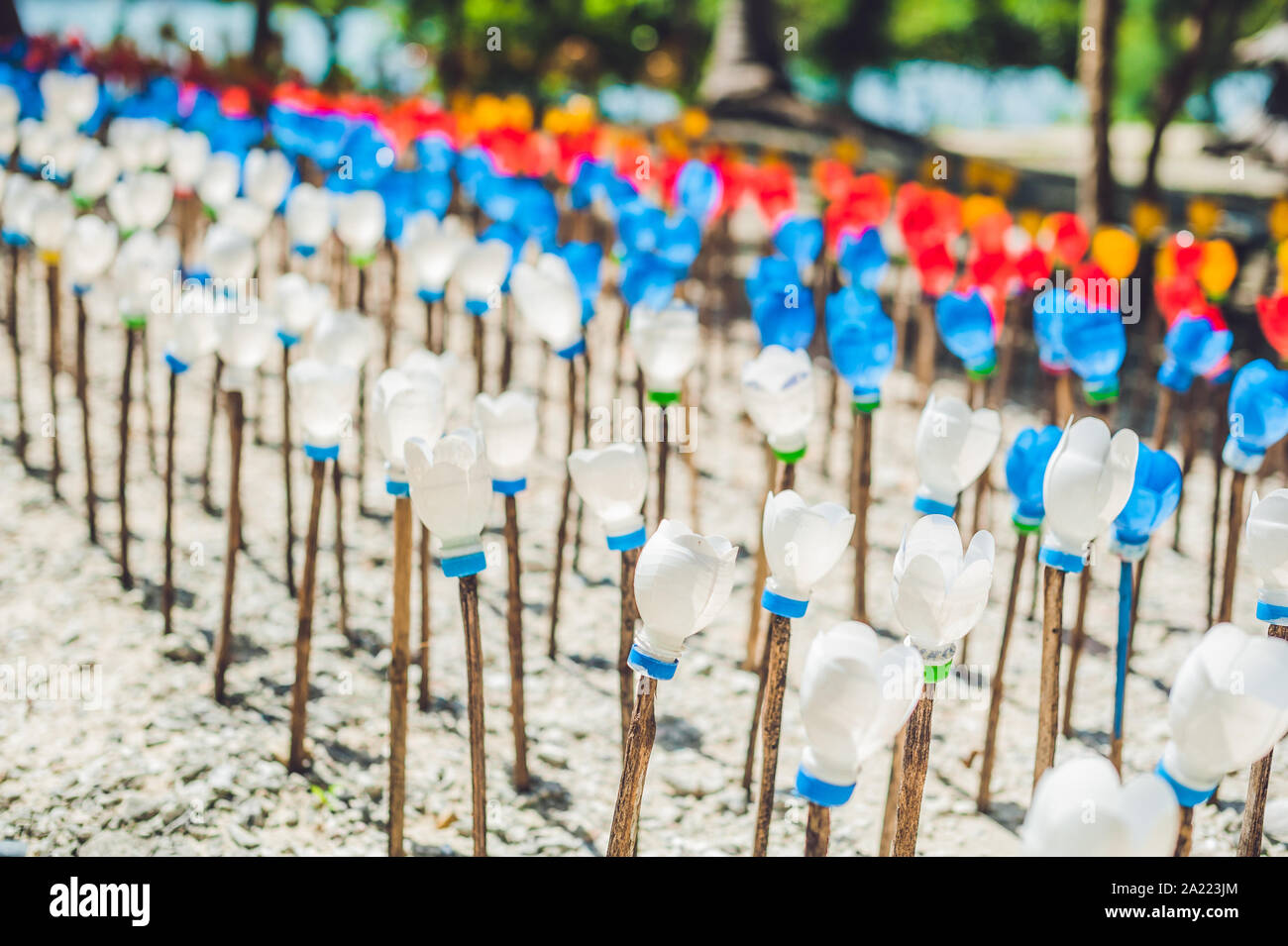 Flowers made from a plastic bottle. plastic bottle recycled. Waste ...