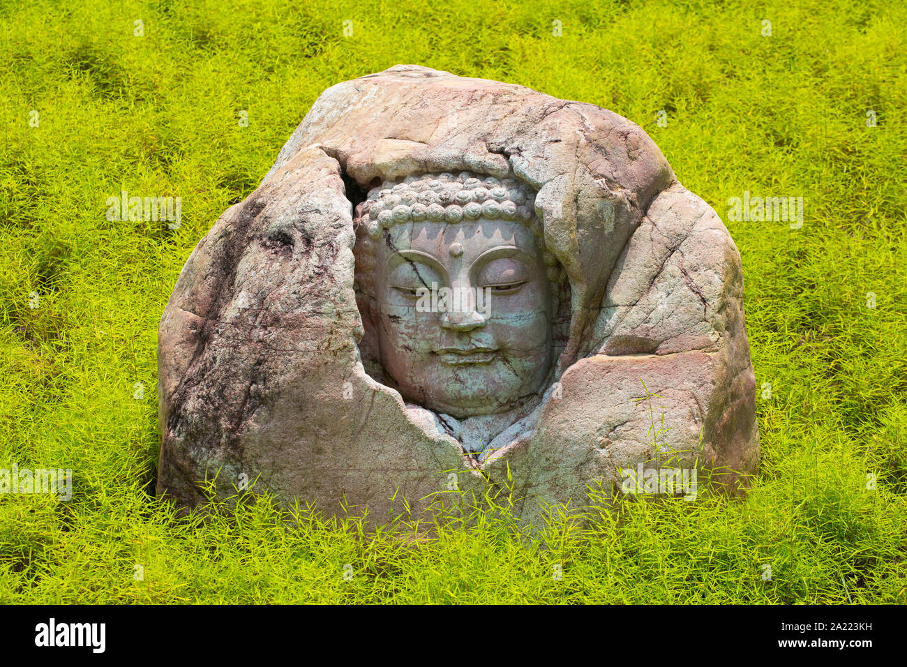 Buddha carved on a rock hi-res stock photography and images - Alamy