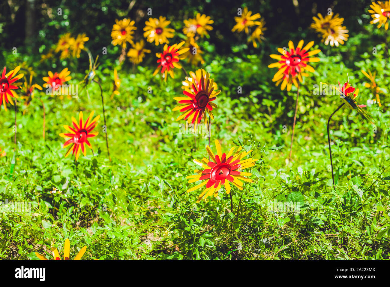 Flowers made from a plastic bottle. plastic bottle recycled. Waste ...