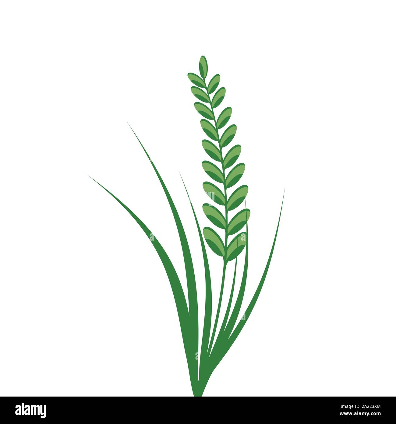 Rice Plant Silhouette