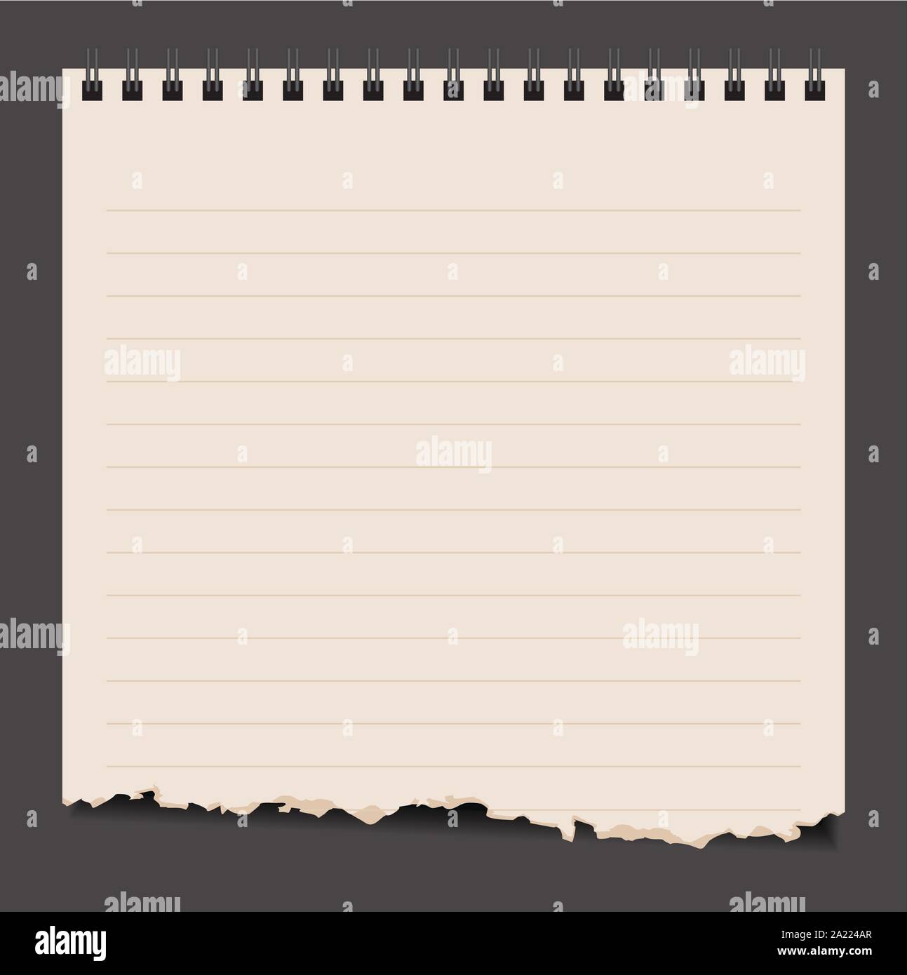 White torn lined note Stock Vector Images - Alamy