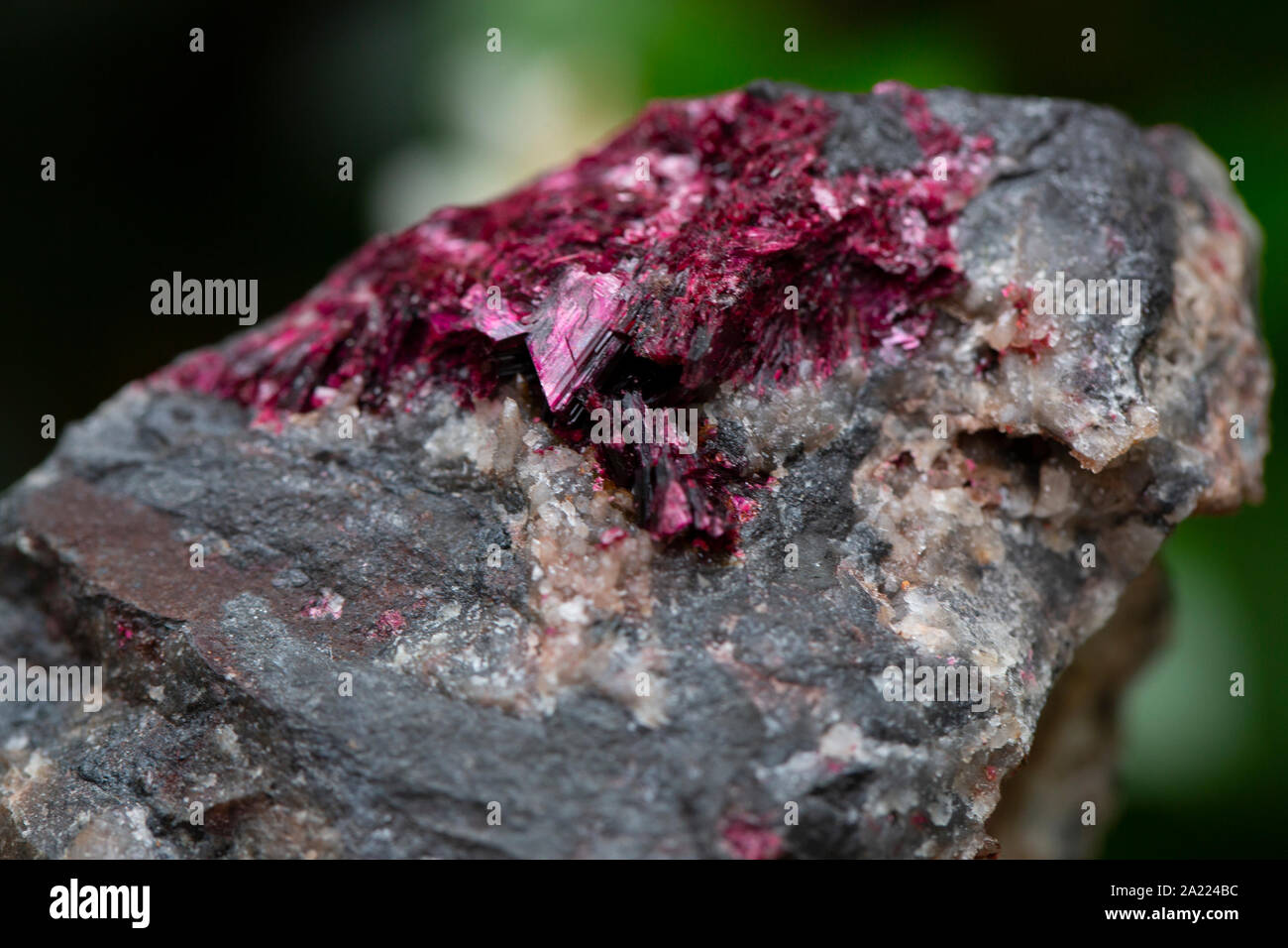 Gem rock museum hi-res stock photography and images - Alamy