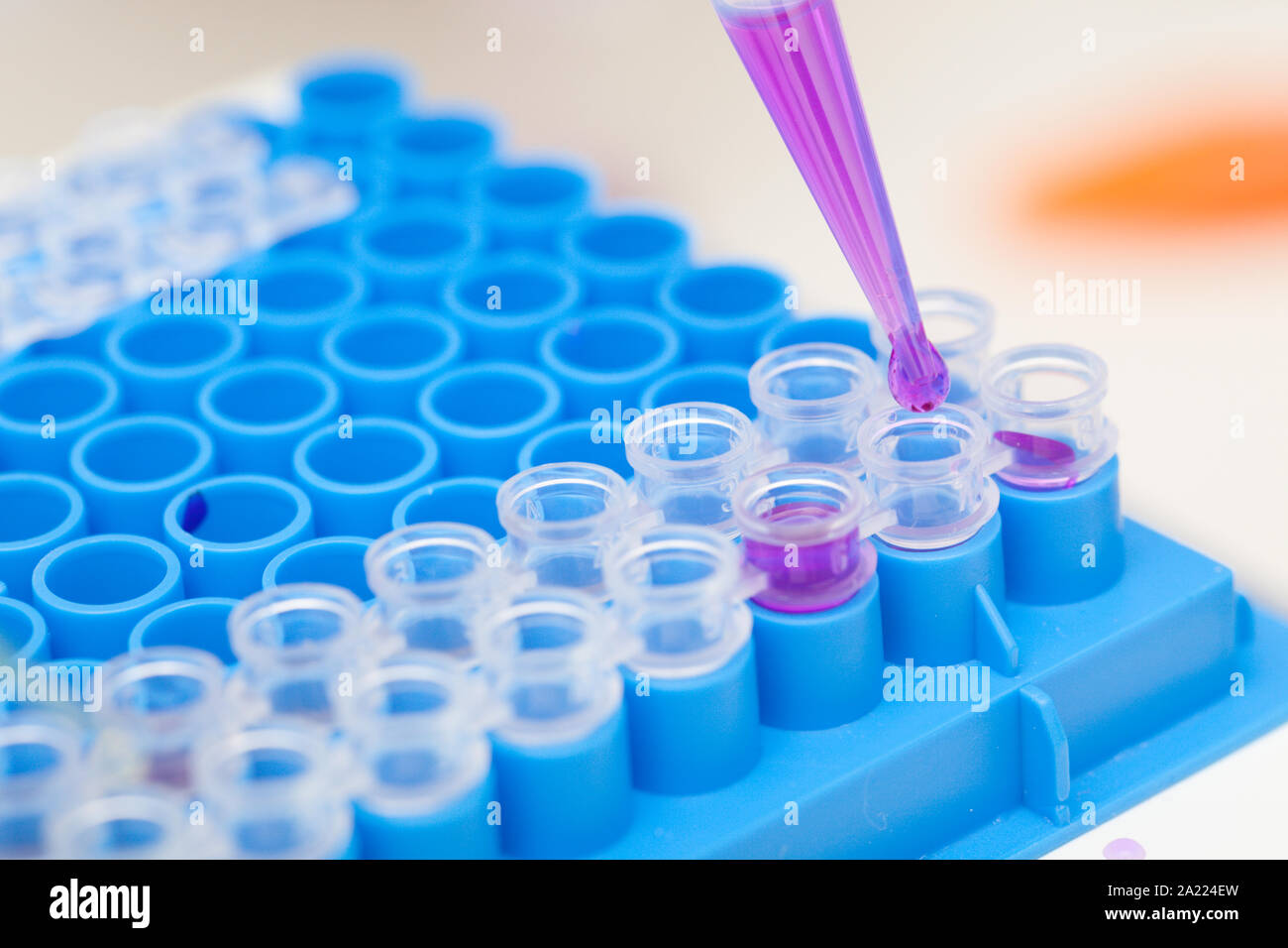 Using pipette in the laboratory Stock Photo - Alamy