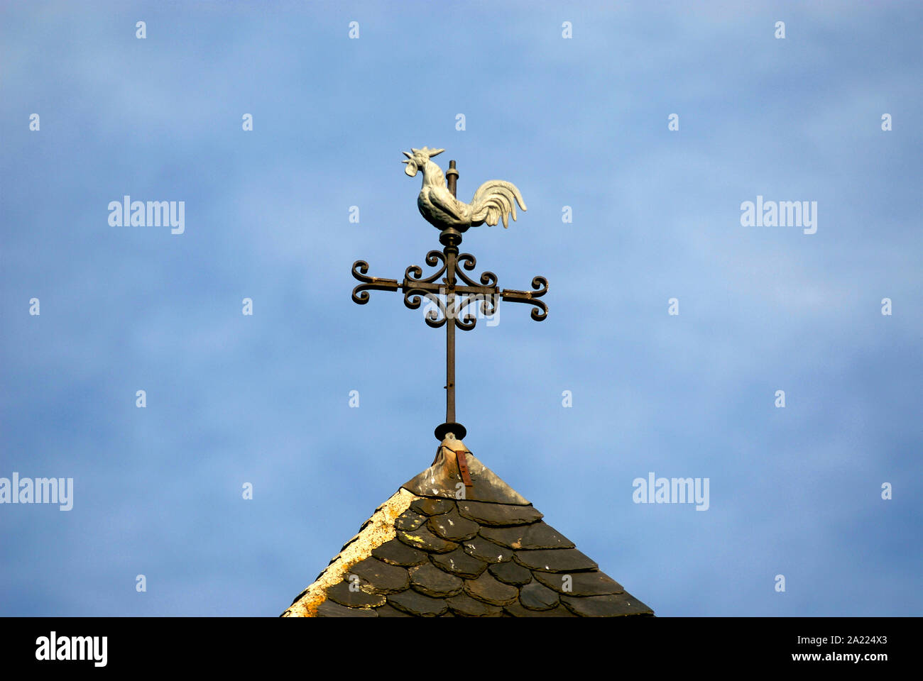 Weathercock on tile roof Stock Photo - Alamy