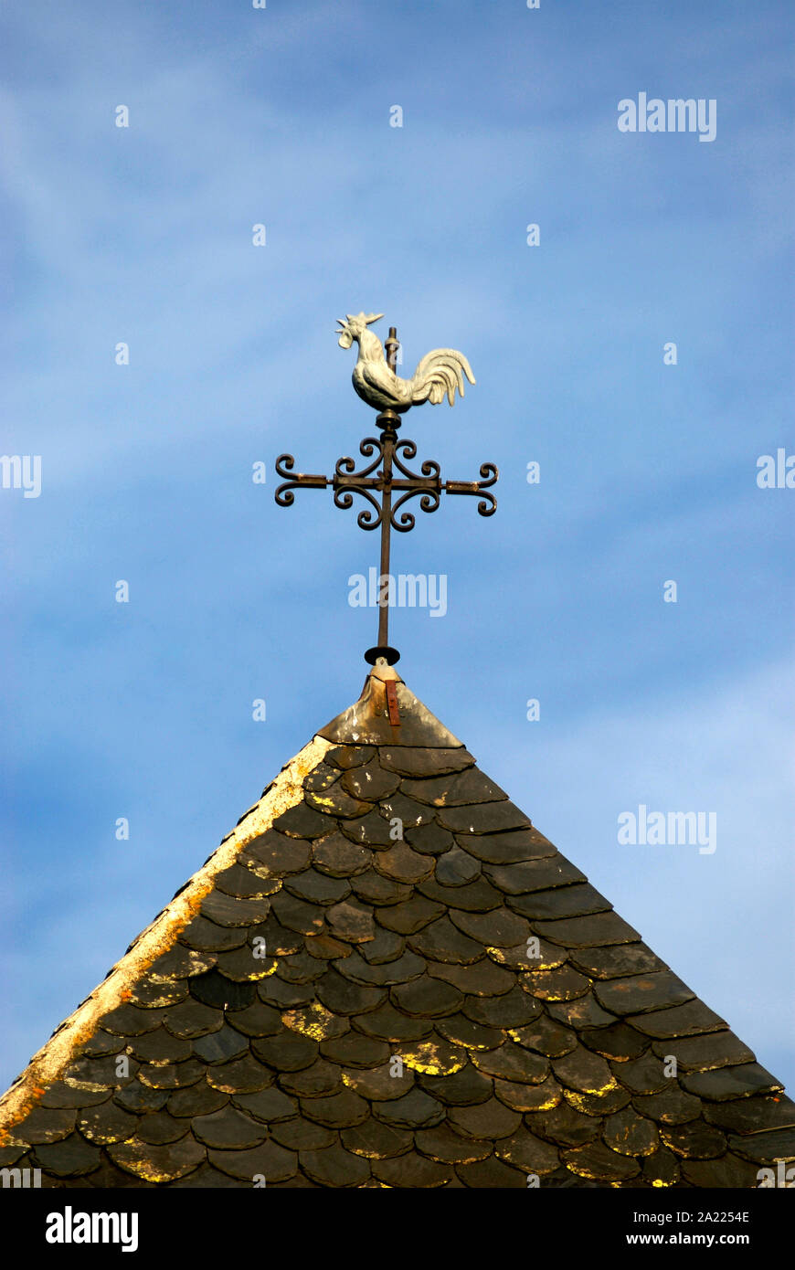 Weathercock on tile roof Stock Photo - Alamy