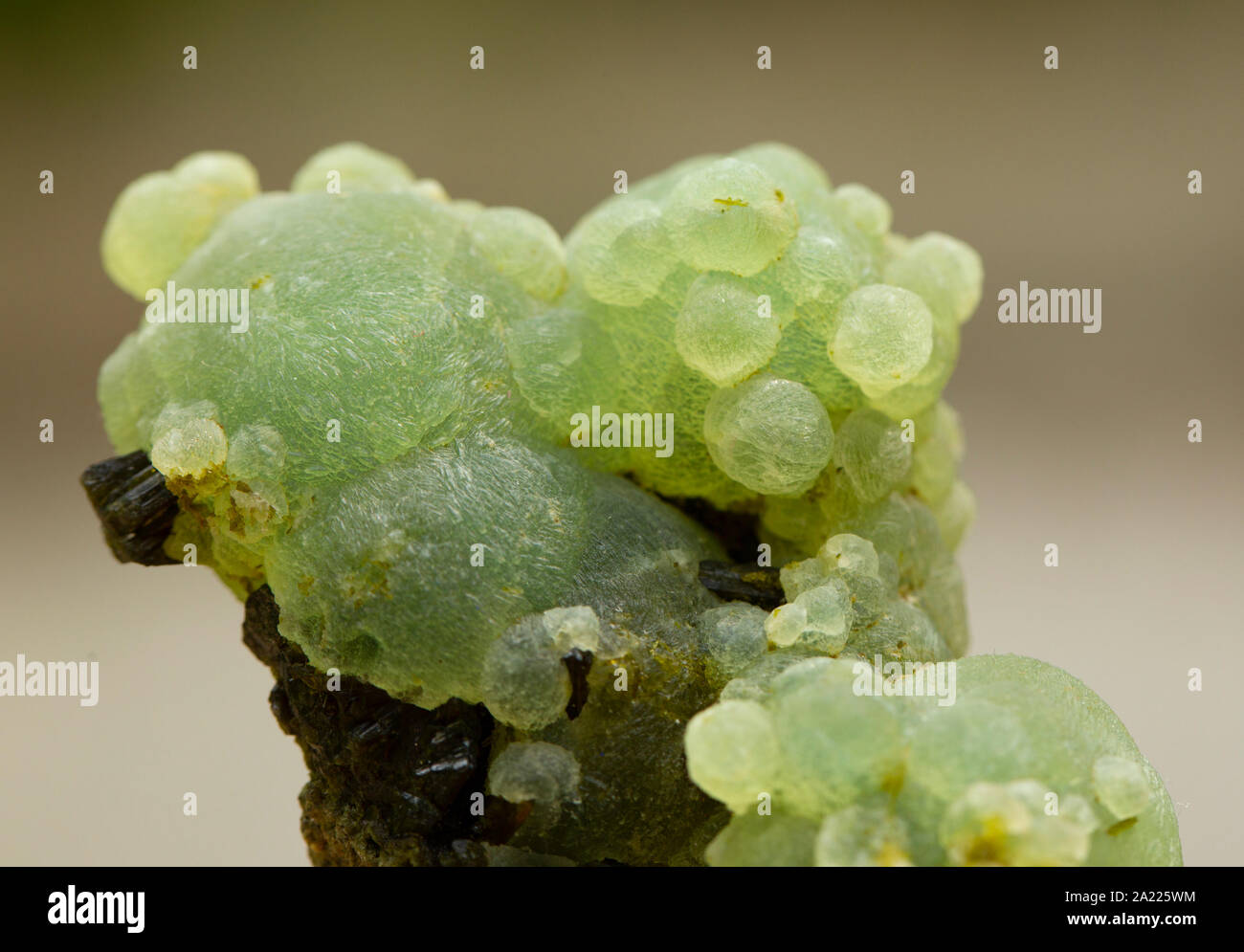 prehnite mineral specimen stone rock gem quartz crystal Stock Photo - Alamy
