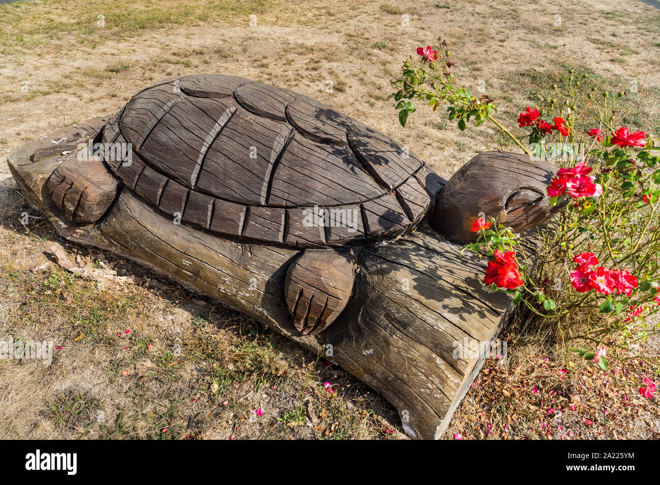 Tortoise sculpture hi-res stock photography and images - Alamy