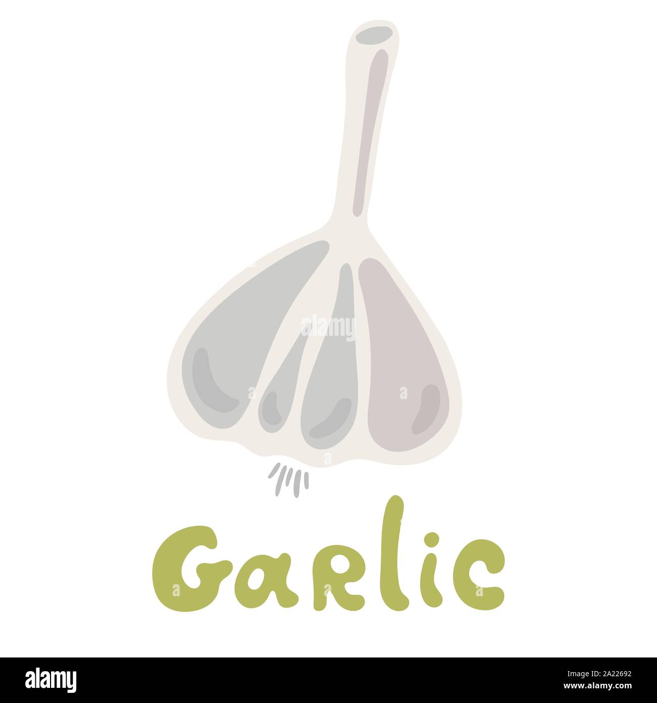 Vector illustration logo for whole ripe vegetable bitter white garlic ...