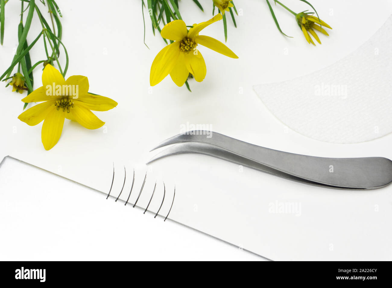 eye lash extensions and scissors on white background Stock Photo - Alamy