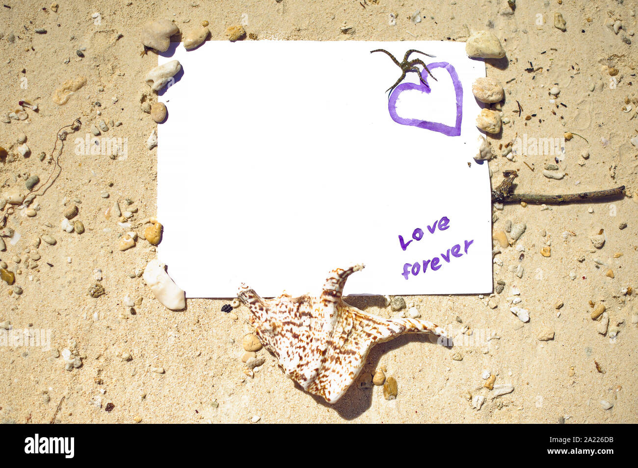 Sea Shell background with space for text. Message from beach Stock ...