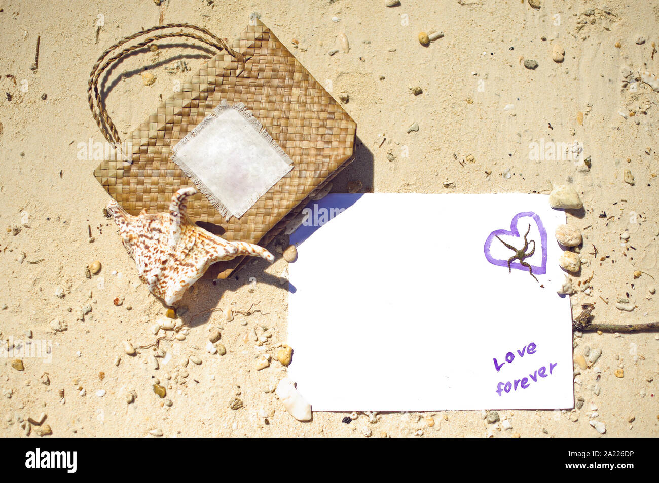 Sea Shell background with space for text. Message from beach Stock ...