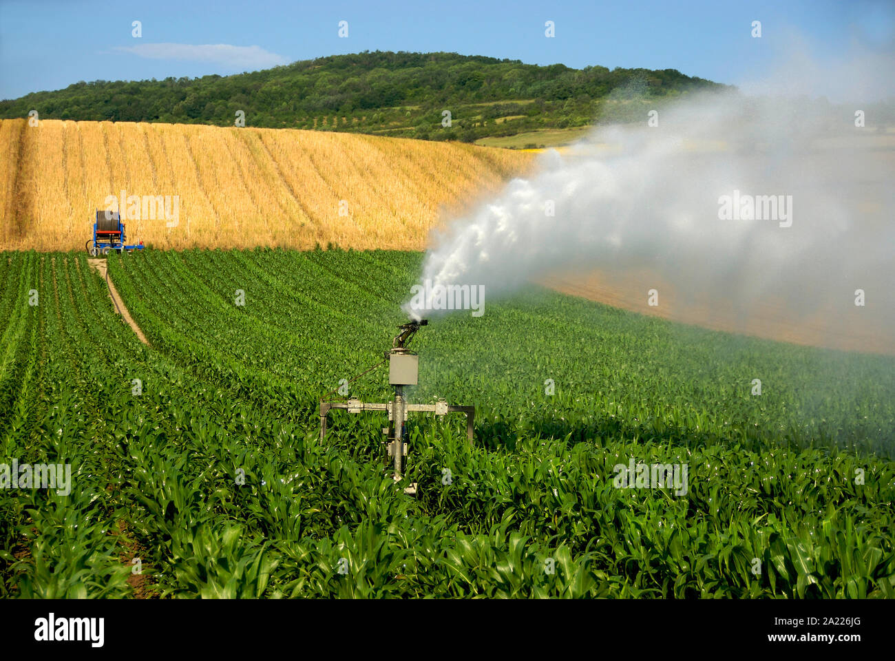 Watering system watering a field of maize, Limagne, Auvergne, France ...
