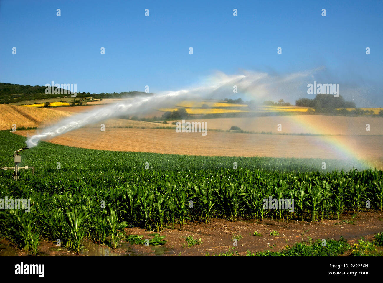 Watering system watering a field of maize, Limagne, Auvergne, France ...