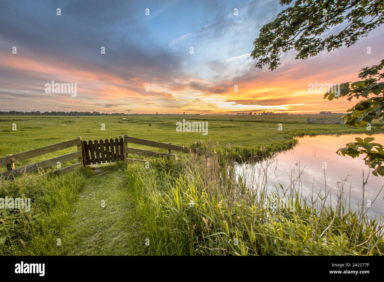 View from backyard of dairy farm over agricultural landscape of dutch ...