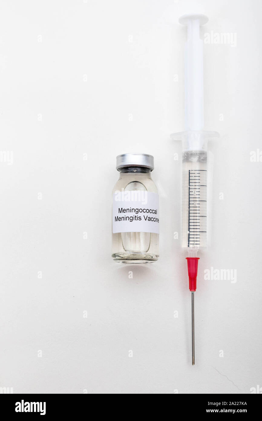 Medical concept showing medical a medical vial reading Meningococcal ...