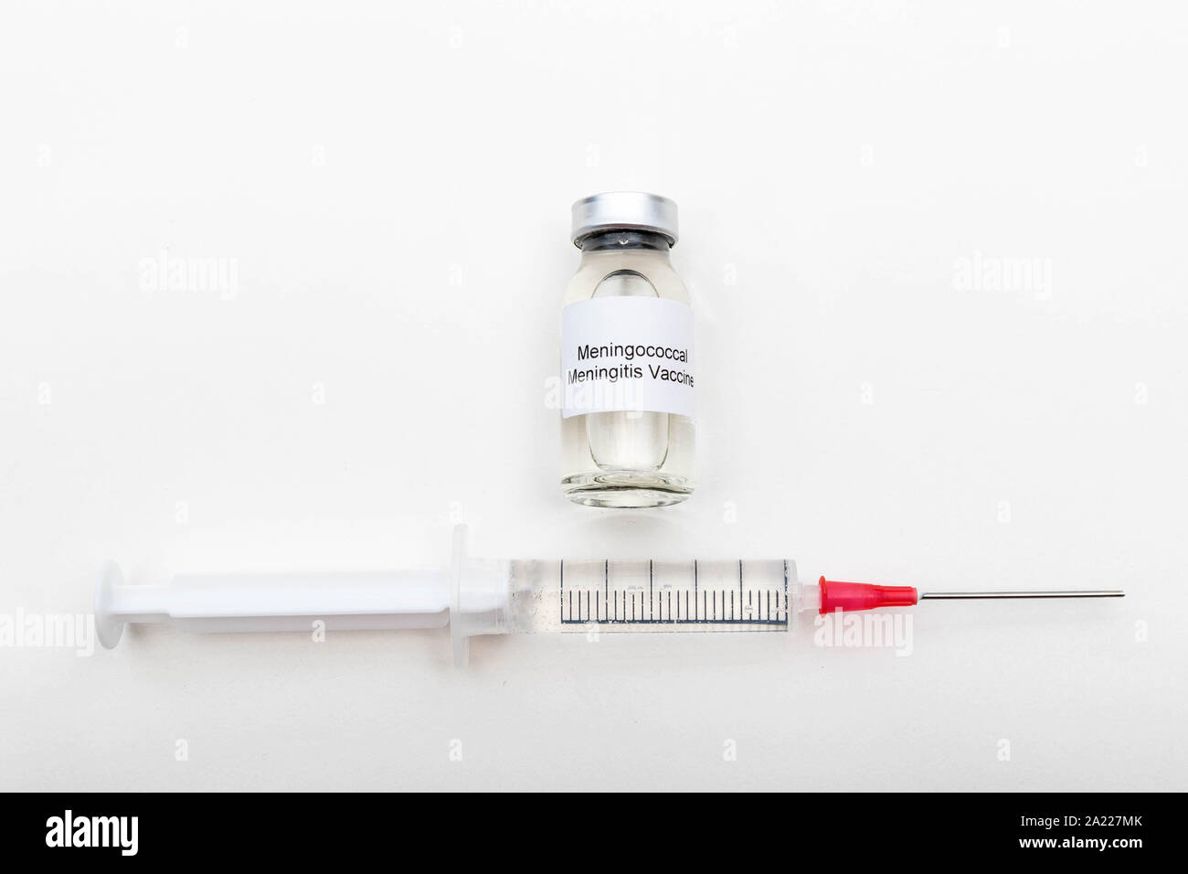 Medical concept showing medical a medical vial reading Meningococcal ...