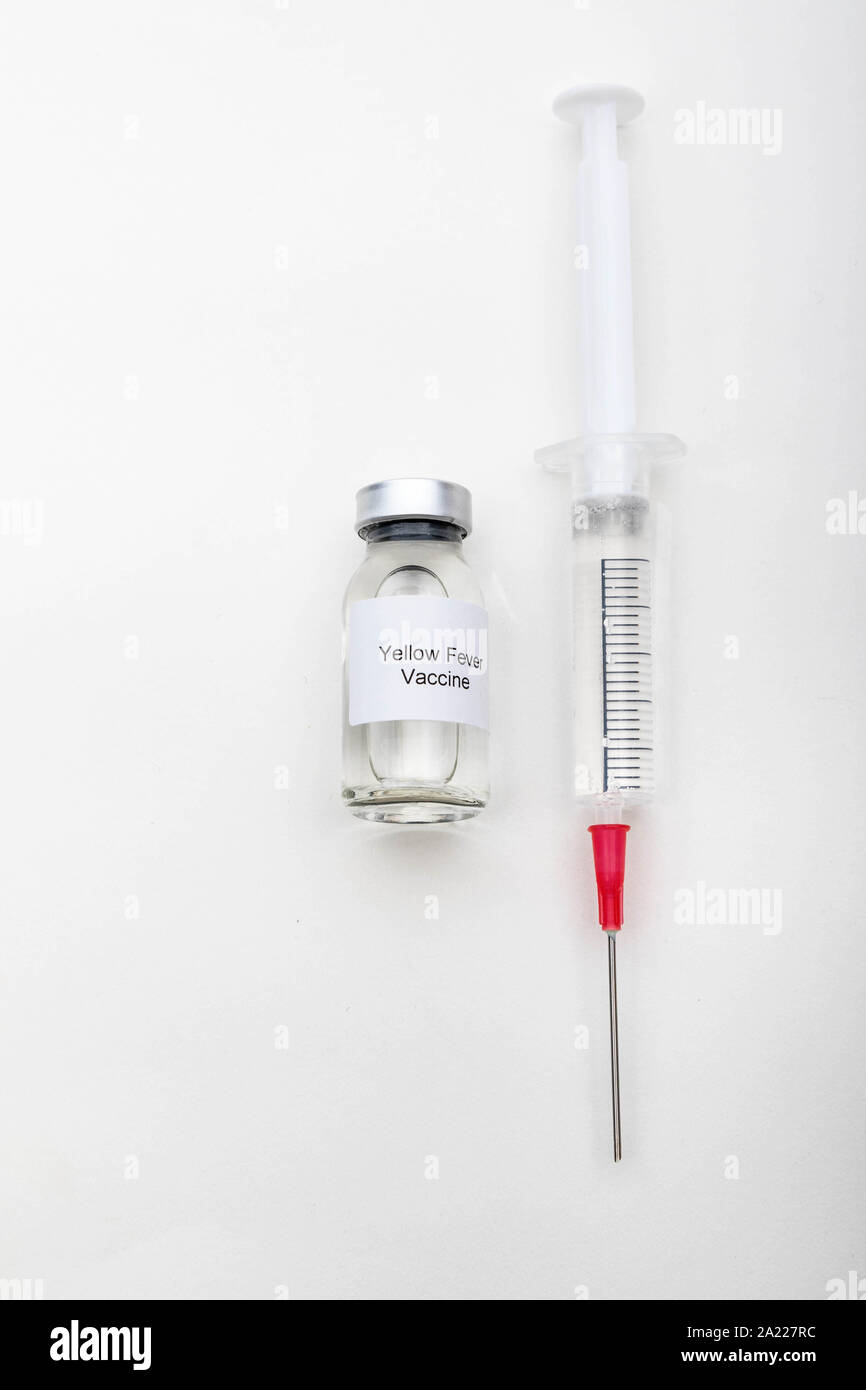 Medical concept showing medical a medical vial reading Yellow Fever ...