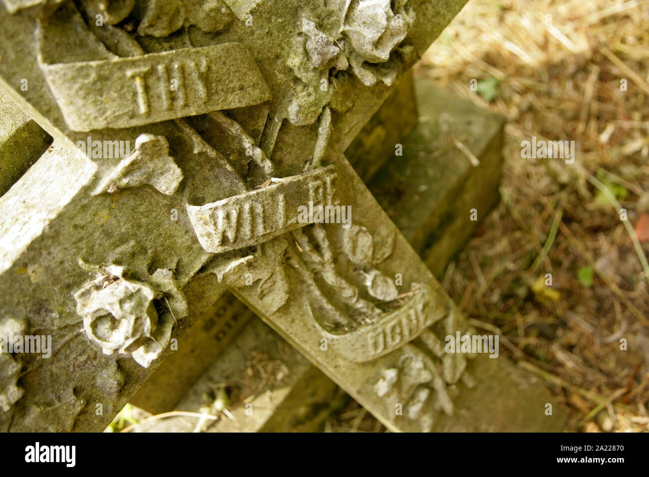 Old stone gravestone with the inscription "Thy Will Be Done Stock Photo ...