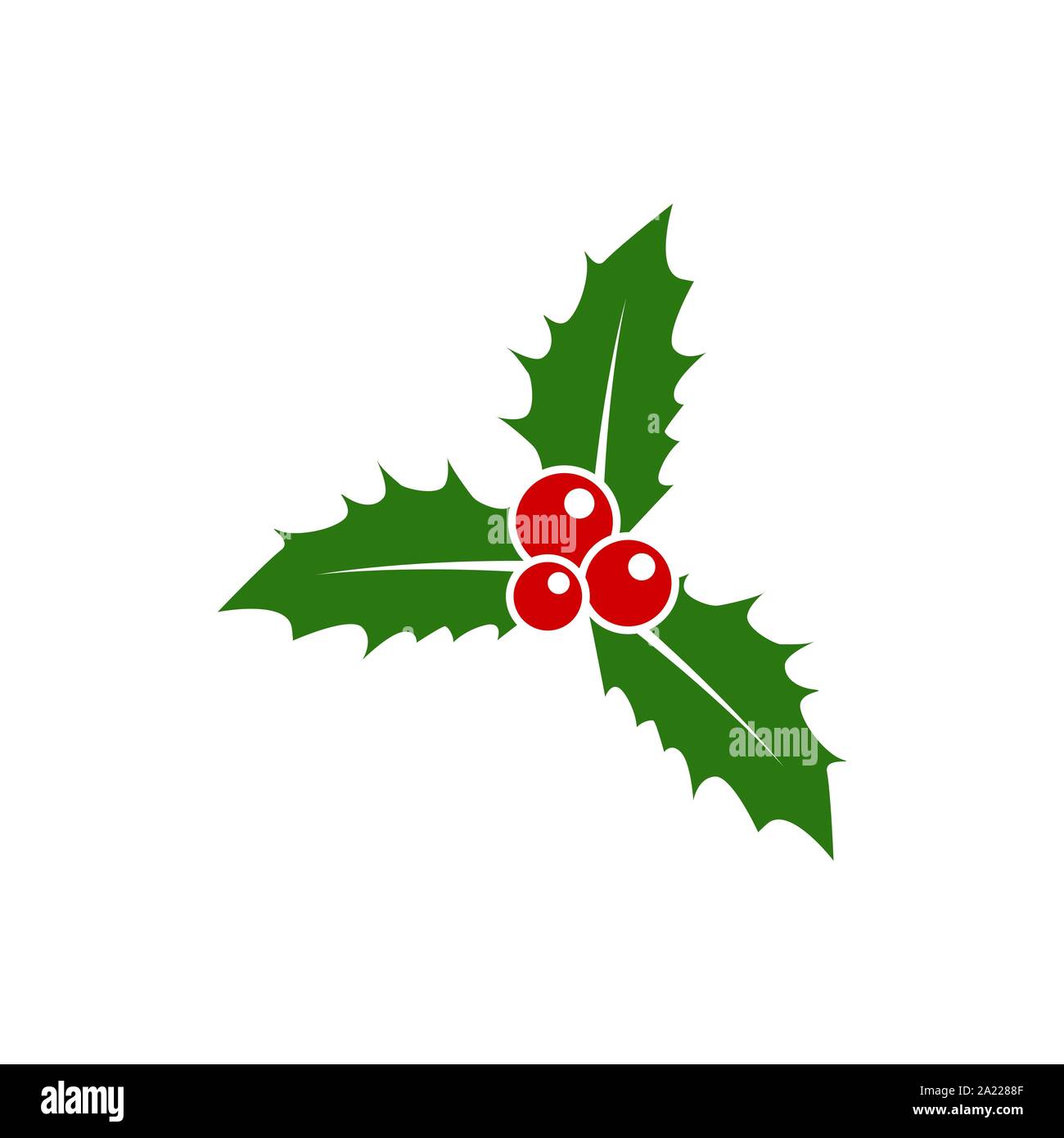 Winterberry Vector Vectors High Resolution Stock Photography and Images ...